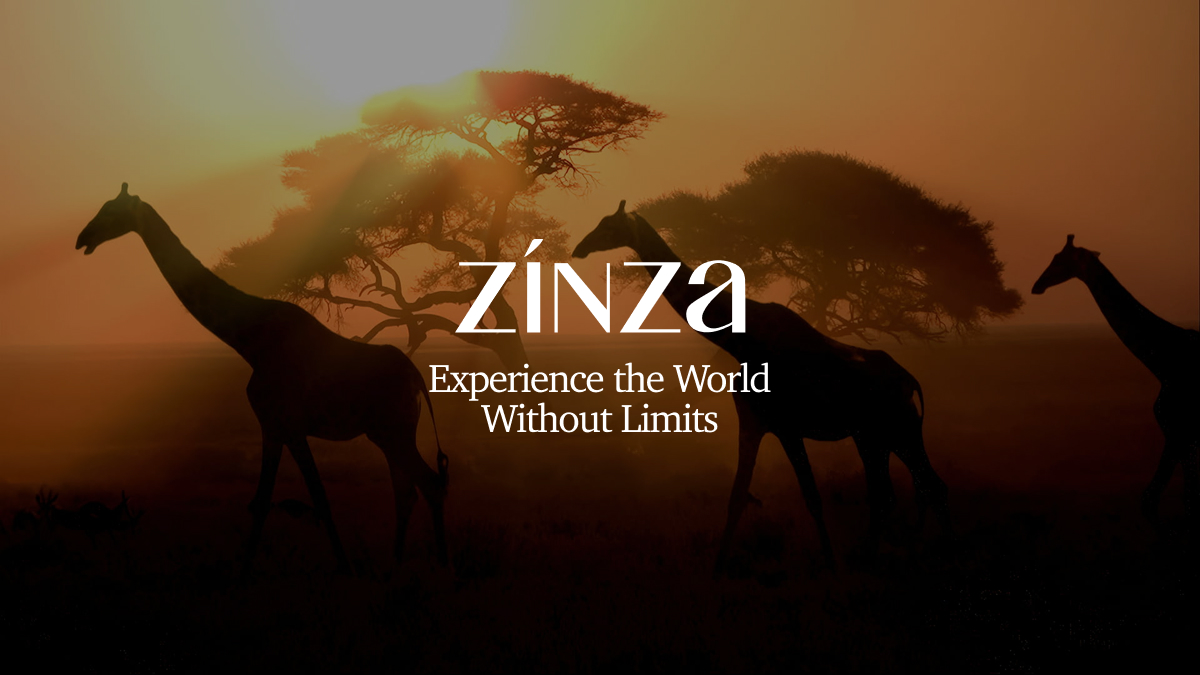 The ZINZA Story - zinza